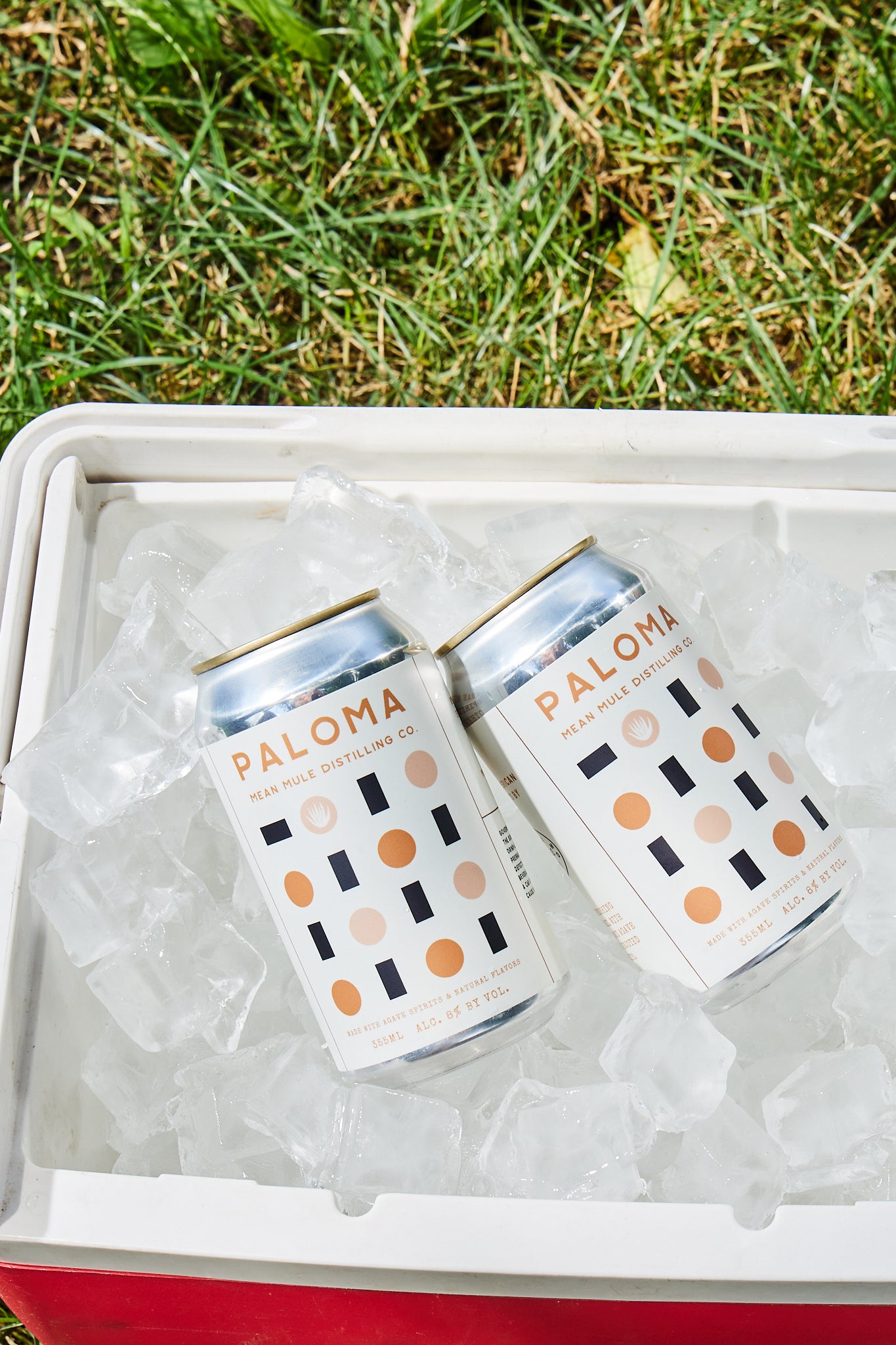 CANNED PALOMA 4-Pack | Mean Mule Distilling Co.